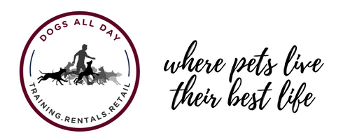 Dogs All Day Kinburn